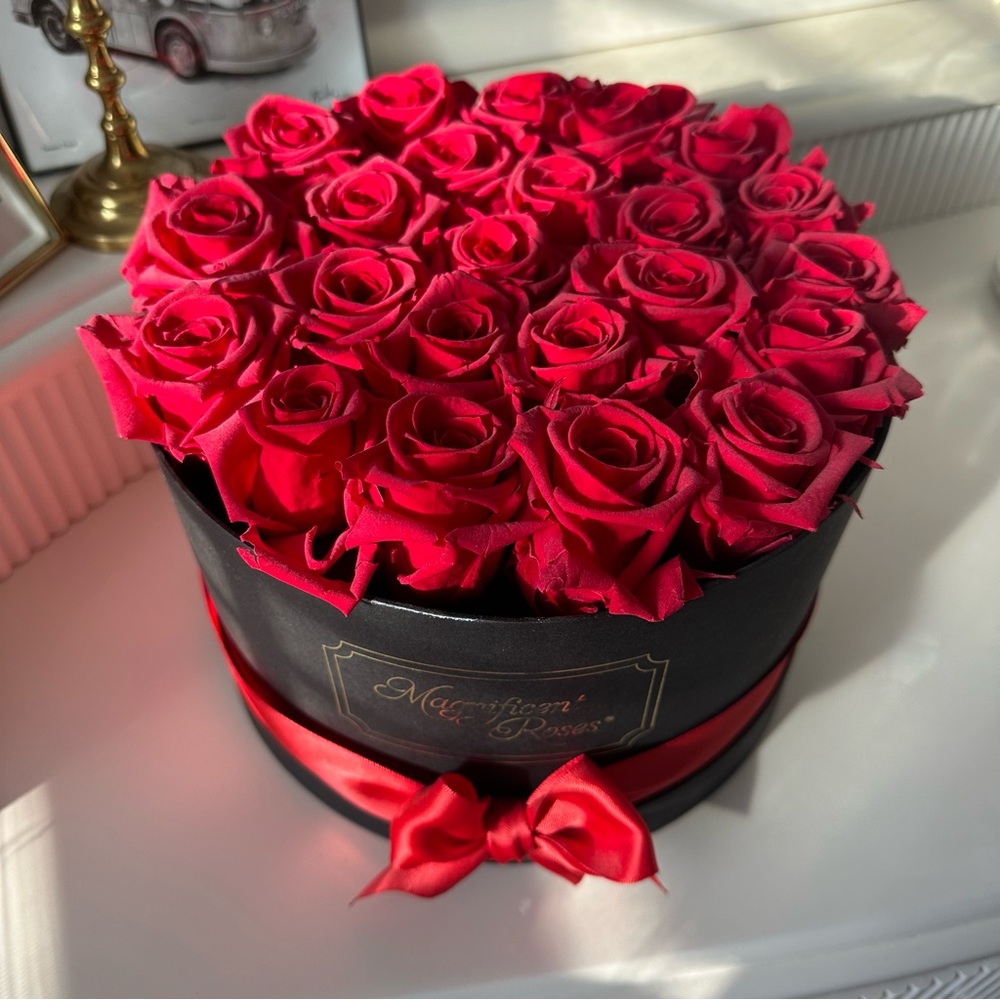 Magnificent Roses - 2 Dozen Preserved Red Roses - Gem
